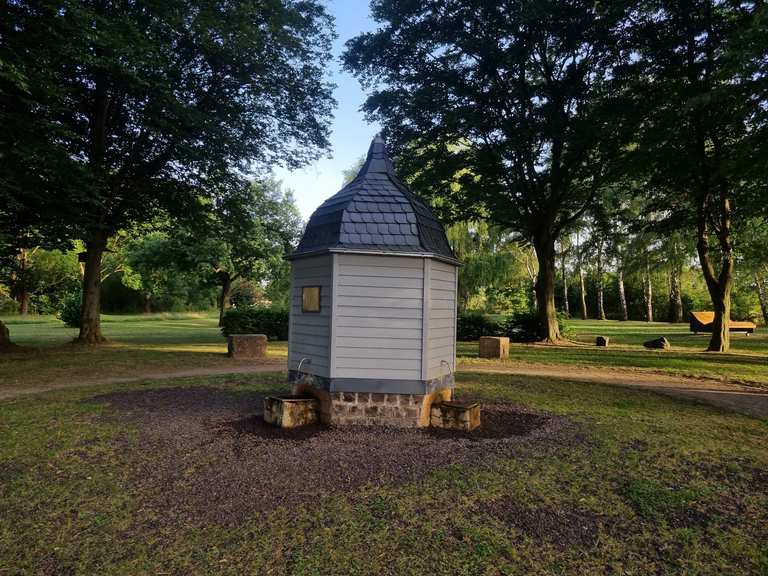 Sauerborn Staden: Wanderungen und Rundwege | komoot