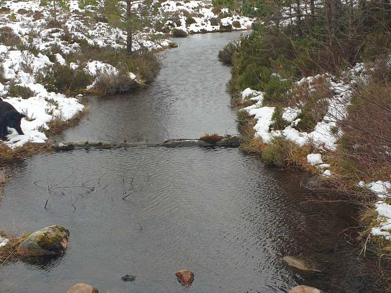 Drake's Bothy Routes for Walking and Hiking | Komoot
