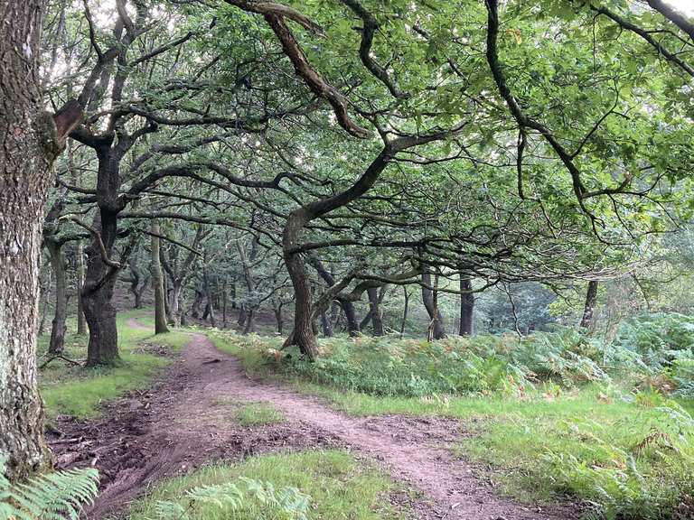 Over Stowey to Crowcombe - big up .....big down ...!!! Road Cycle ...