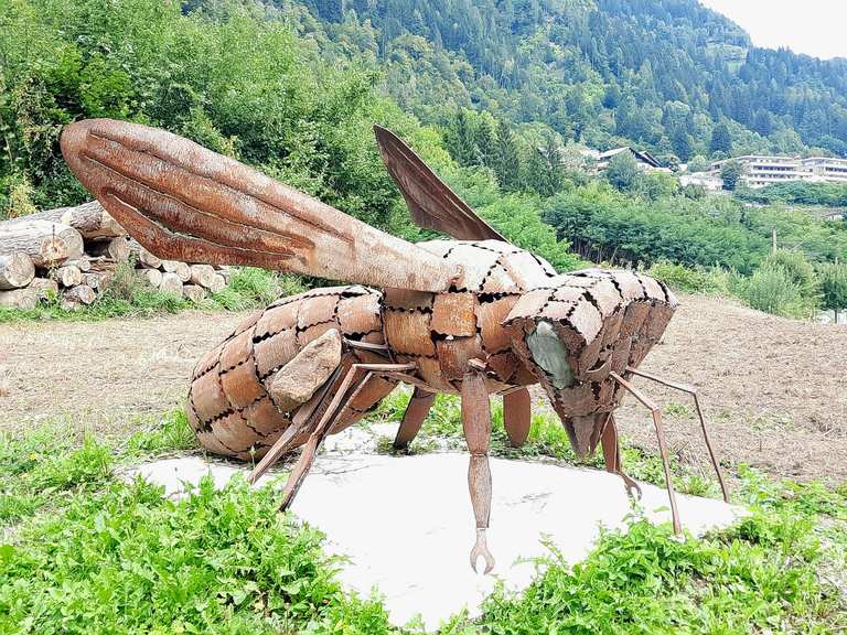 Fauler Willi - Bienenwiesen : Radtouren und Radwege | komoot