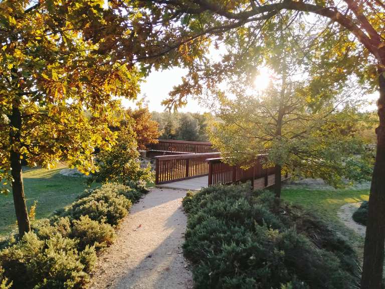 Parque Forestal de Valdebebas - Felipe VI: Rutas MTB | Komoot