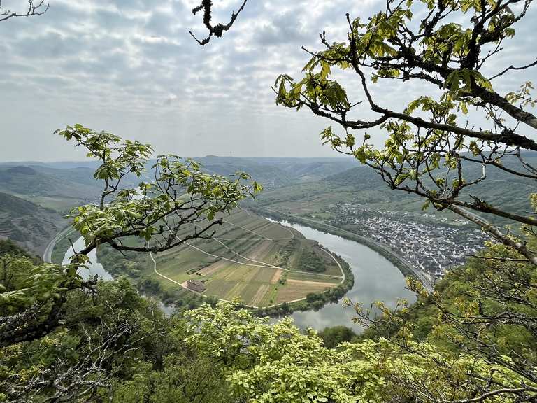 Steile Weinberge – Calmont Gipfel Rondje vanuit Ediger-Eller ...