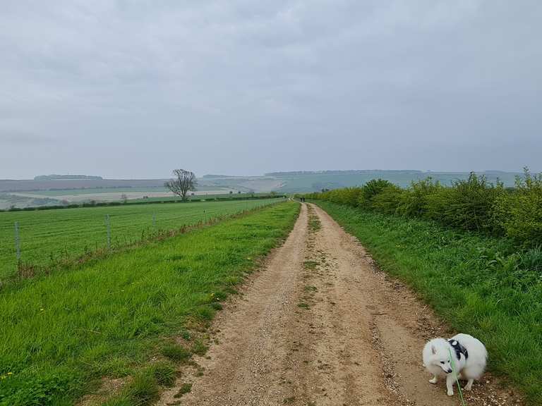 Minster way Routes for Walking and Hiking | Komoot