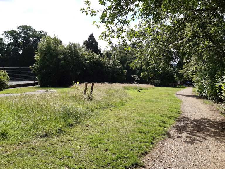 Shenley Park: Wanderungen und Rundwege | komoot