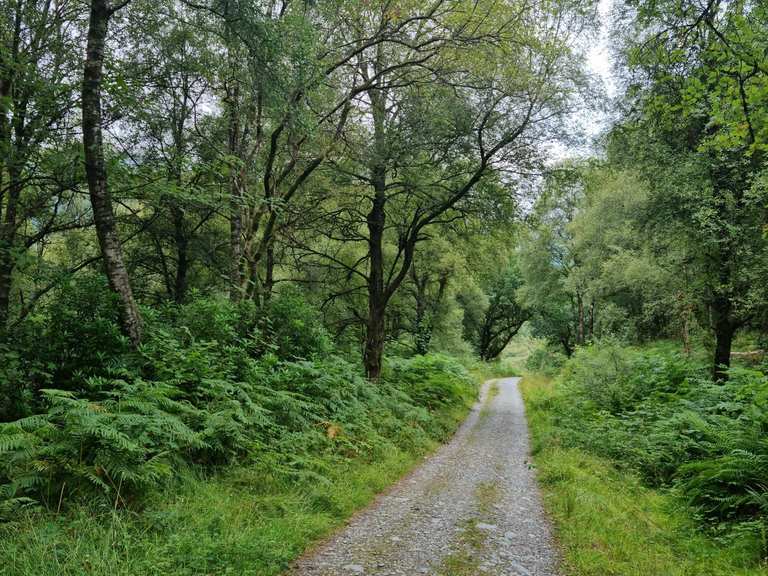 Loch Ard family sculpture trail — Loch Lomond and the Trossachs ...
