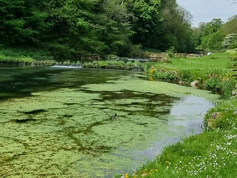 Weirs on the River Lathkill Routes for Walking and Hiking | Komoot