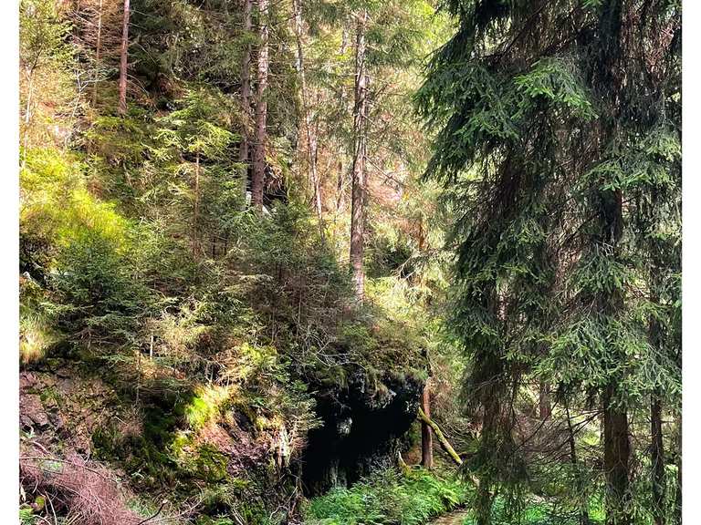 Unterhalb des Falkenstein - Mountain Bike Trails & Tracks | Komoot