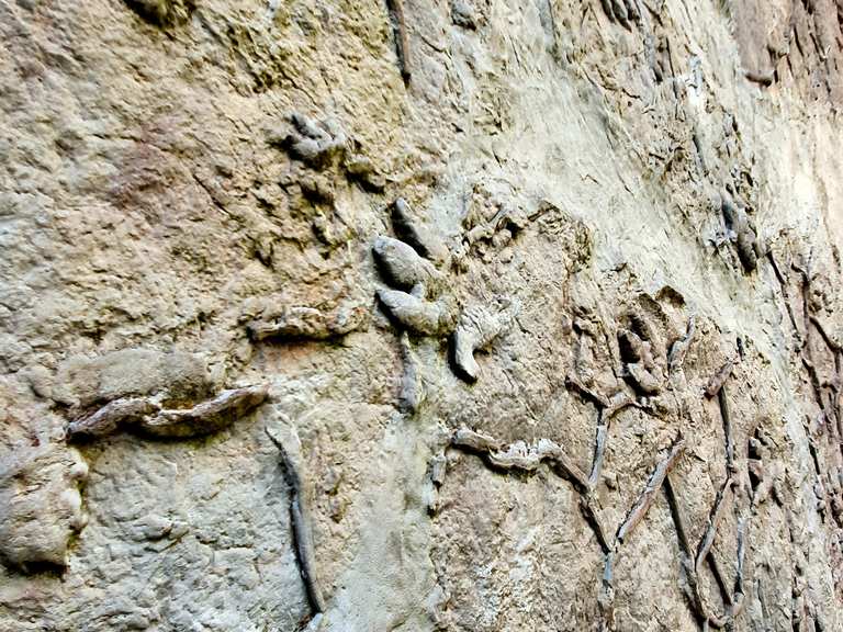 Chirotherium Monument : Radtouren und Radwege | komoot