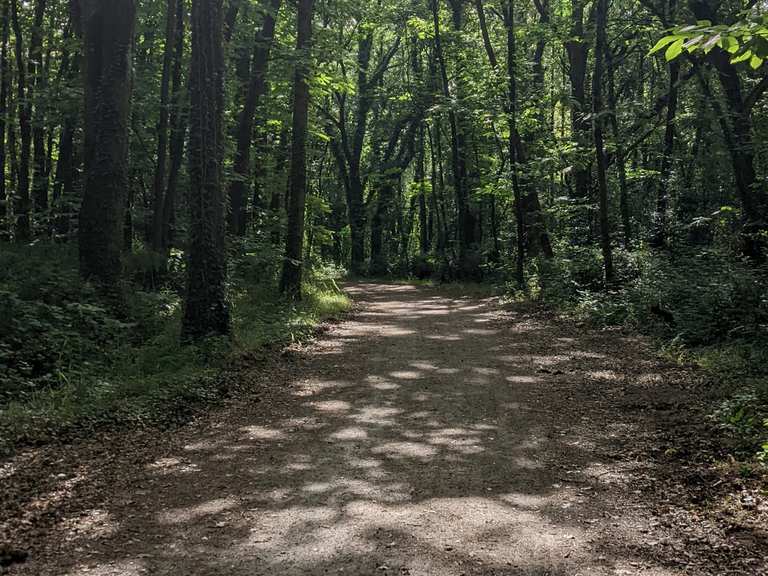 Chemin du lac entre Bouaye et Saint Aignan de Grand Lieu - Sentiers et ...