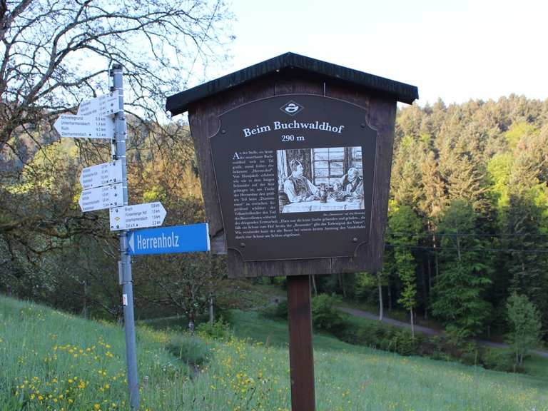 Aussichtspunkt Nilleck – Aussichtsturm Brandenkopf Runde von Birach ...