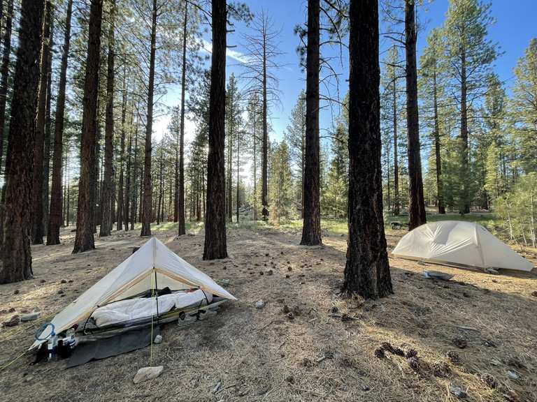Circuito Pacific Crest Trail a partir do Landers Campground – Sequoia ...