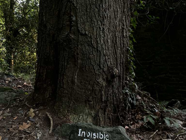 Rostrevor Forest Slievemartin Trail — Mourne AONB | hike | Komoot