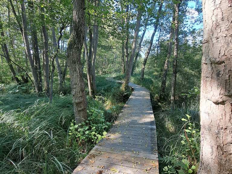 Over de loopbrug - wandelroutes en hikes | Komoot