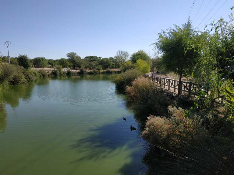 Parque de las Presillas – circular desde Alcorcón por el cauce del ...
