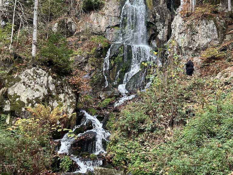 La cascade de l'Andlau — boucle depuis Le Hohwald dans la Forêt du ...