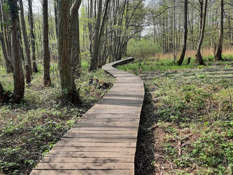 Over de loopbrug - wandelroutes en hikes | Komoot
