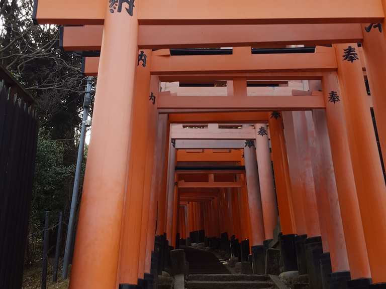 Ascending to Kumataka Shrine: Wanderungen und Rundwege | komoot