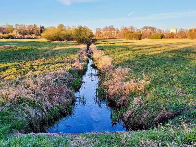 Sachsendorfer Wiesen: Wanderungen und Rundwege | komoot