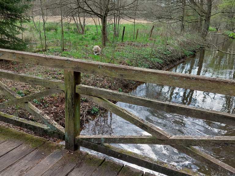 Luhe Bridge – Hiking & Cycling Routes | Komoot