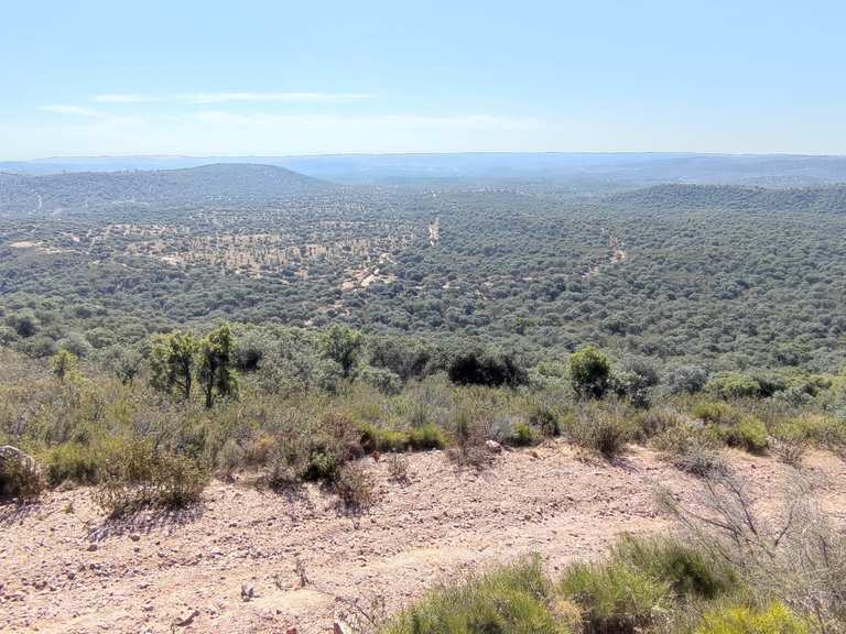 Embalse de Melonares desde Almadén de la Plata – circular por el Parque ...
