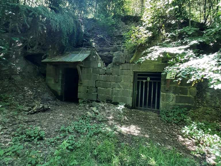 Alte Felsenkeller: Mountainbike-Touren und -Trails | komoot