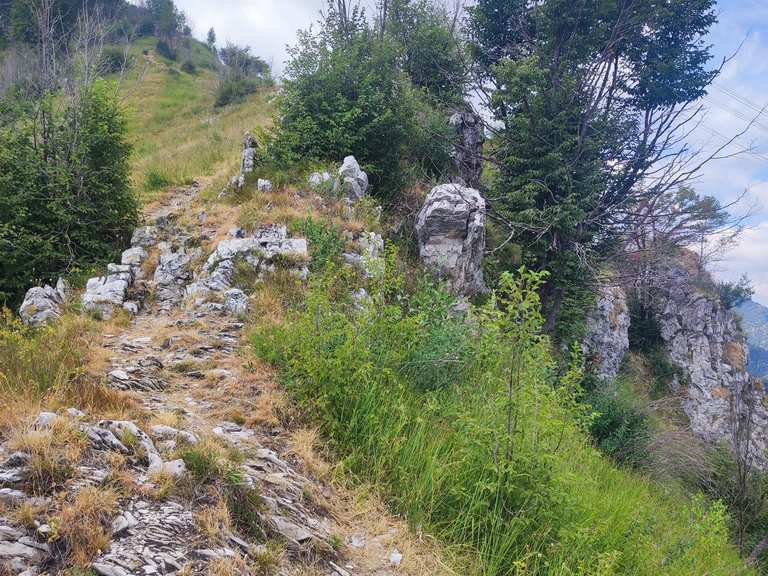 Da Caino a monte prealba | Wanderung | Komoot