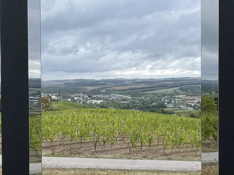 Herrlicher Blick über Remich und das Moseltal: Wanderungen und Rundwege ...