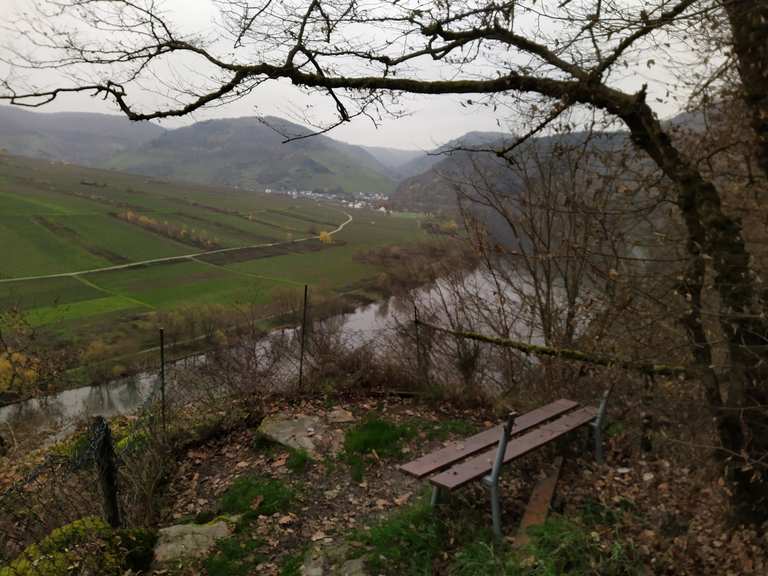 Moselblick Briedel: Mountainbike-Touren und -Trails | komoot