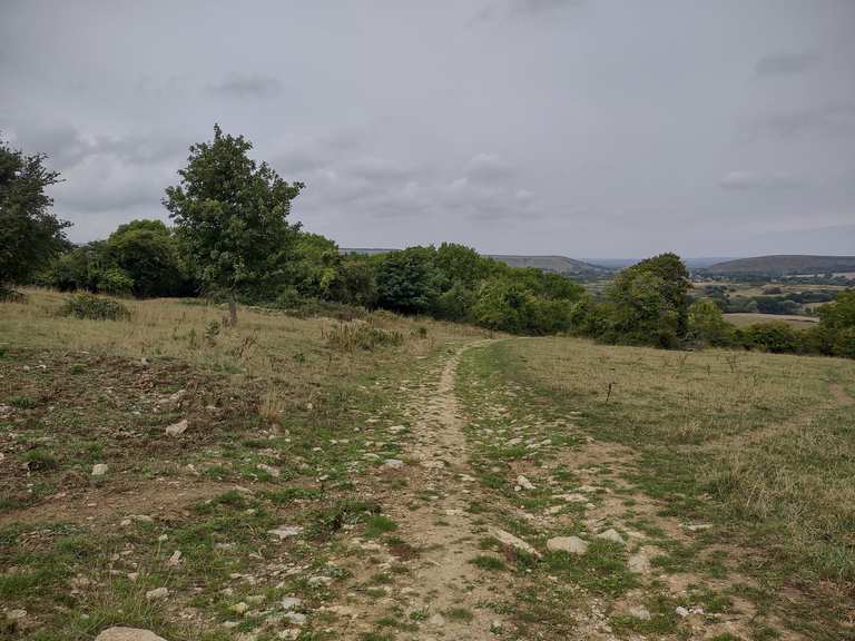 Afflington Farm Bridleway Path Mountain Bike Trails & Tracks | Komoot