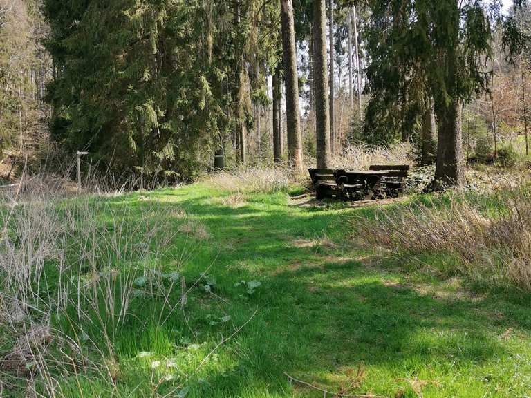 Picknickplatz am Tannbach: Wanderungen und Rundwege | komoot