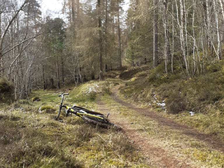 Nethy Bridge & Dulnain Bridge loop from Grantown-in-Spey — Cairngorms ...