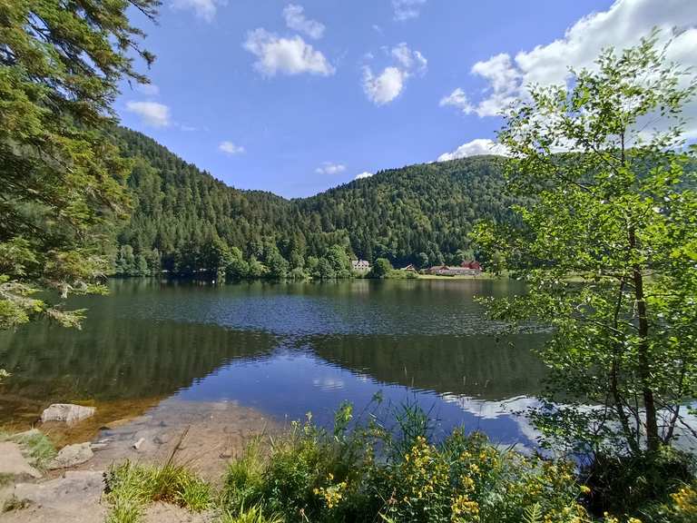 Gerardmer le lac – Lac de Retournemer loop from Gérardmer | ride | Komoot