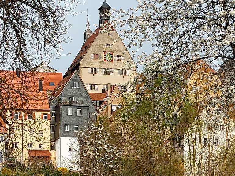 49. Breitengrad in Besigheim - Cycle Routes and Map | Komoot