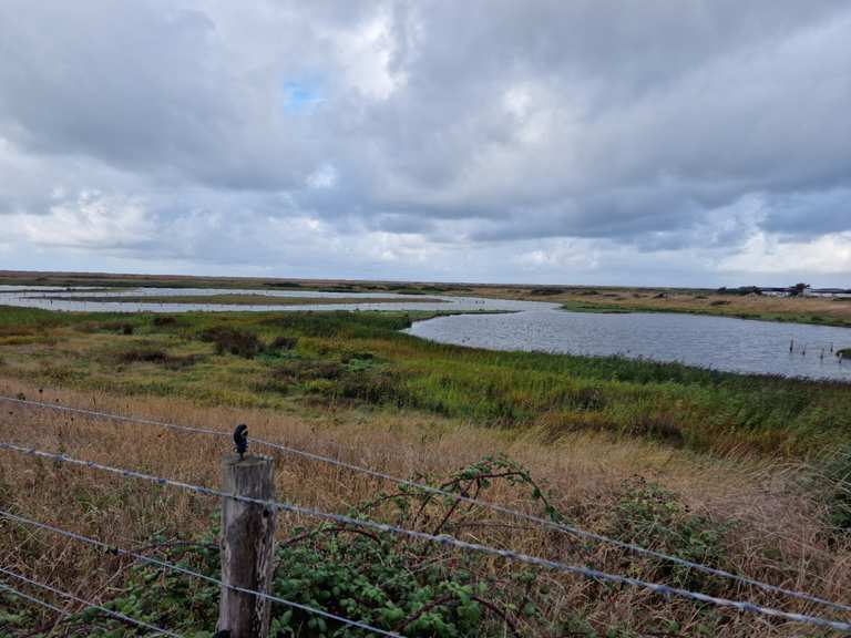 RSPB Medmerry Nature Reserve: Wanderungen und Rundwege | komoot