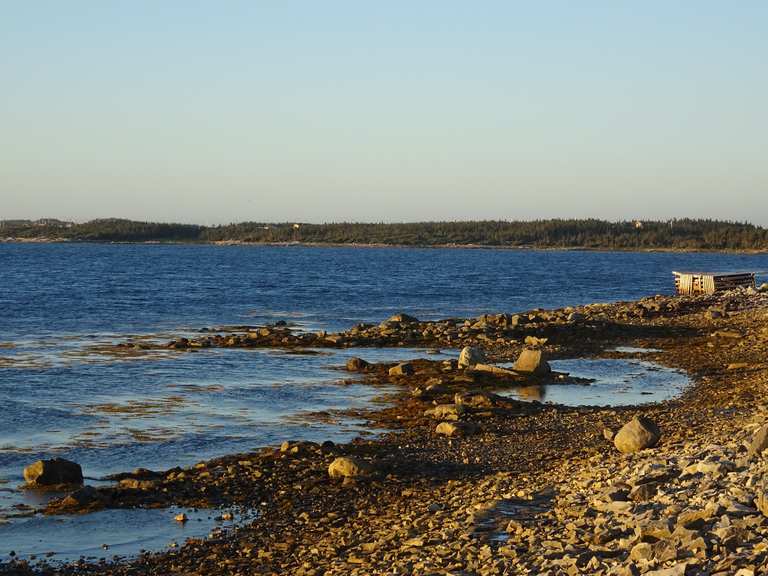Trail at Plummer Point: Wanderungen und Rundwege | komoot
