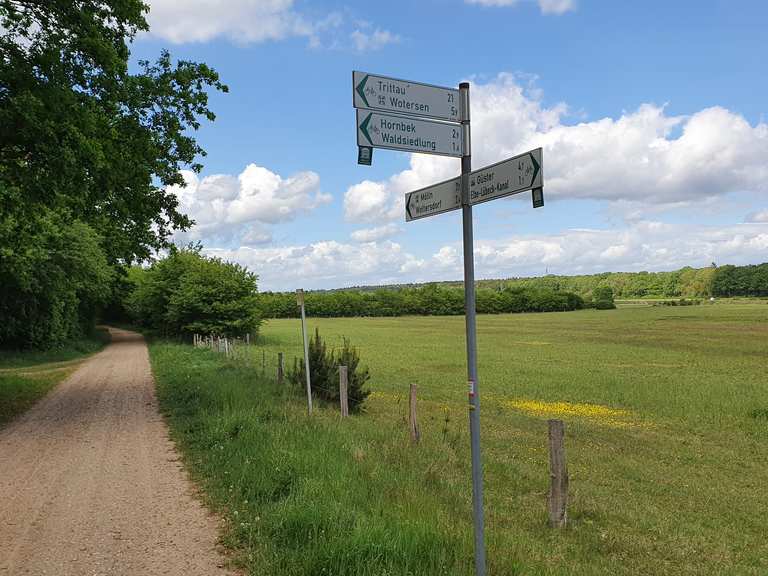 Gedenkstein Limes Saxoniae bei Hornbek: Wanderungen und Rundwege | komoot