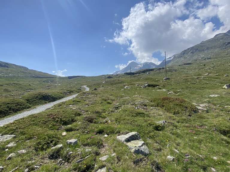 Ospizio Bernina–Pontresina Trail Mountain Bike Trails & Tracks | Komoot