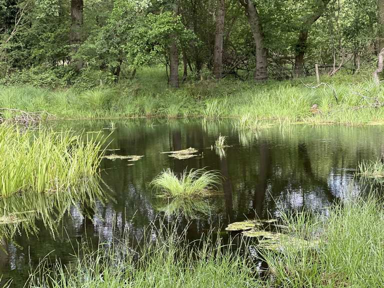 The Great Eastern Pingo Trail | hike | Komoot