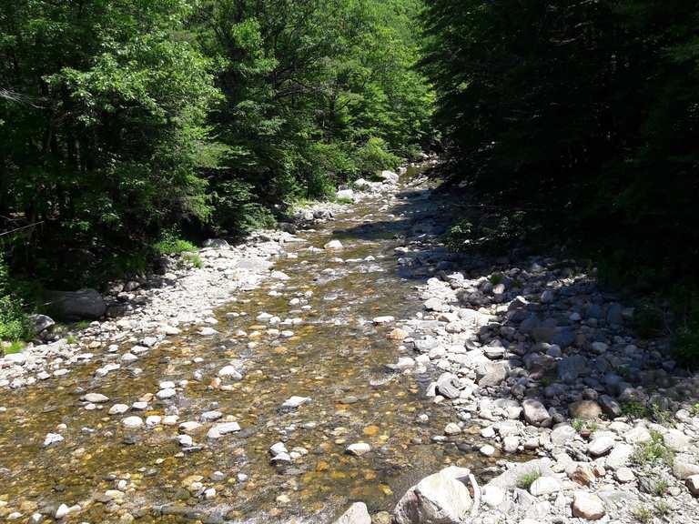 Mahican Mohawk Trail – Bucle Indian Trail – Bosque Estatal Mohawk Trail ...