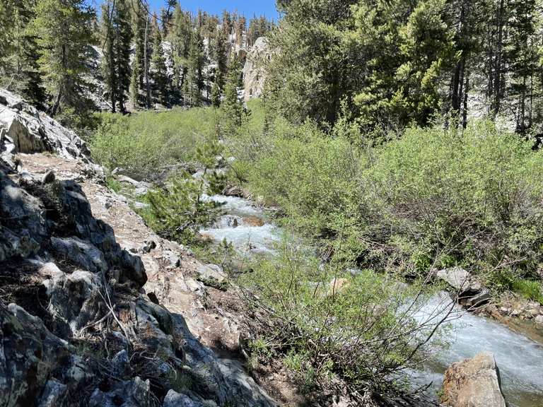 Torrente e aree campeggio : percorsi escursionistici e trekking | Komoot