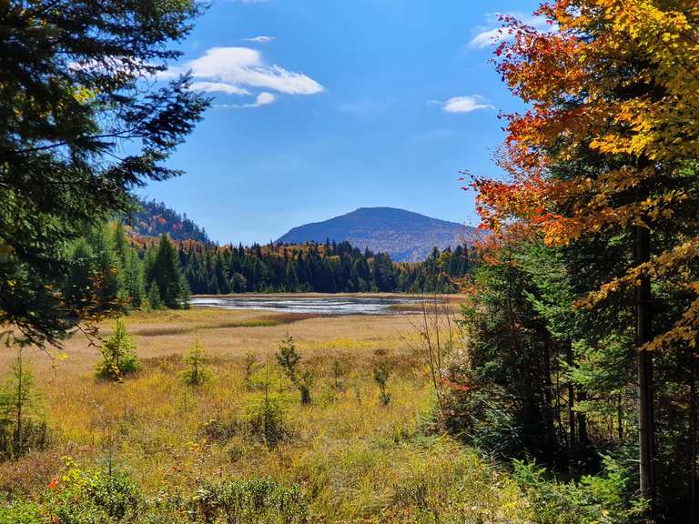 Sentier du Bois-Franc – Mont-Tremblant National Park | hike | Komoot