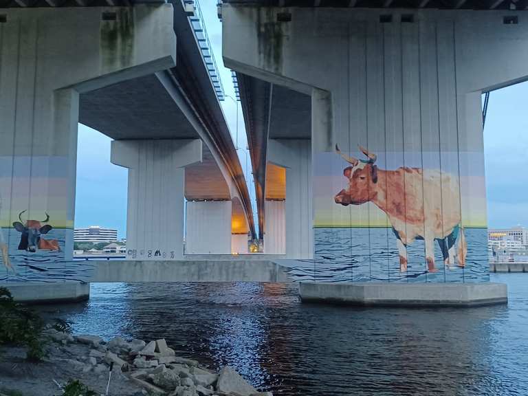 Pętla piesza Fuller Warren & John T. Alsop Jr. Bridge — Jacksonville ...