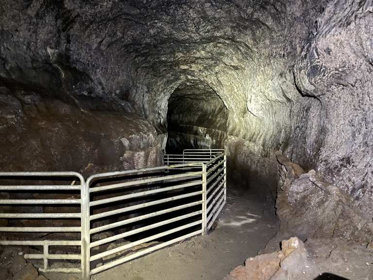 Ape Cave Interpretive Site/Lower entrance: Wanderungen und Rundwege ...