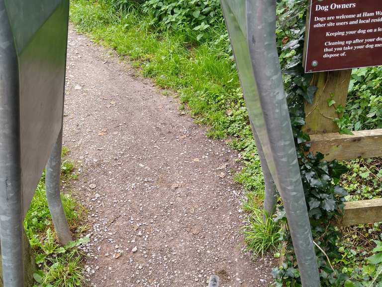 Ham Wall RSPB Nature Reserve Road Cycle Routes and Map | Komoot