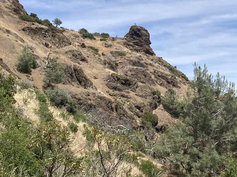 Mount Diablo Grand Loop Trail — Mount Diablo State Park | hike | Komoot