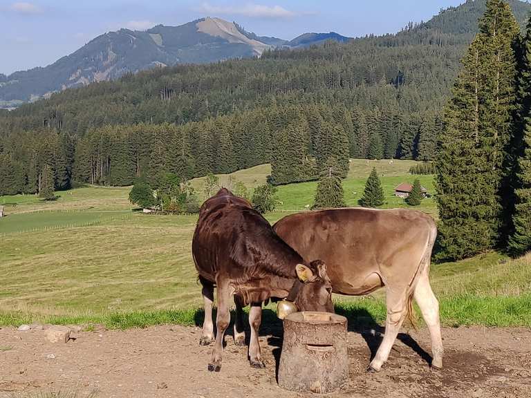 Alpe Metzeberg - Cycle Routes and Map | Komoot