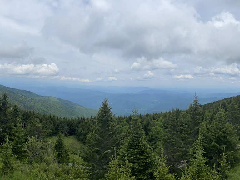 Mount Mitchell Trail — Mount Mitchell State Park | hike | Komoot
