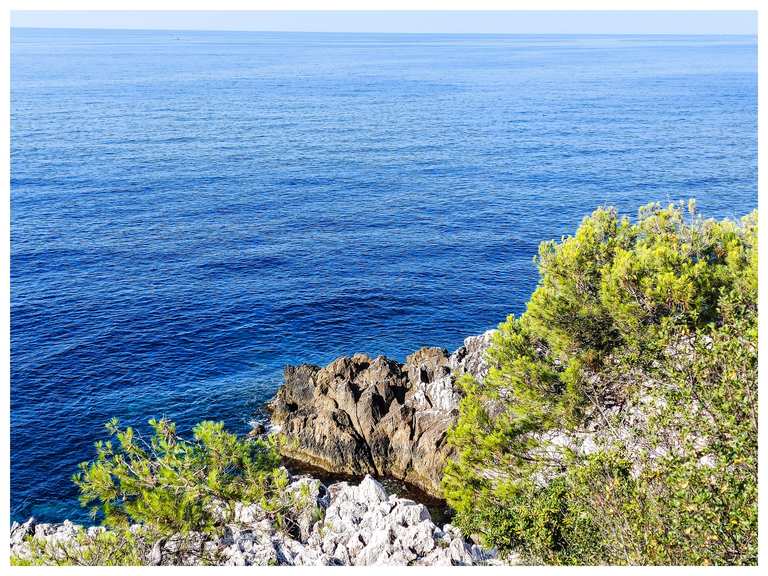 Pointe du Cap Martin Routes for Walking and Hiking | Komoot