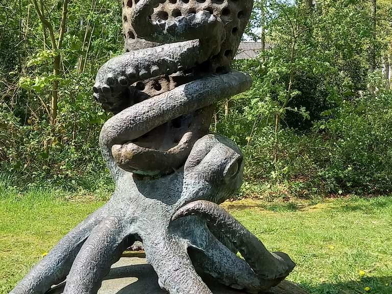 Octopus Routes for Walking and Hiking | Komoot