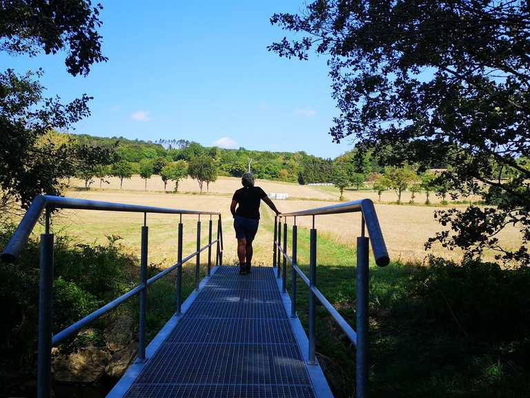Brücke über die Nethe: Wanderungen und Rundwege | komoot